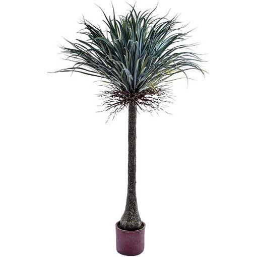 Artificial Desert Plants For Sale at Marcelo Mulkey blog